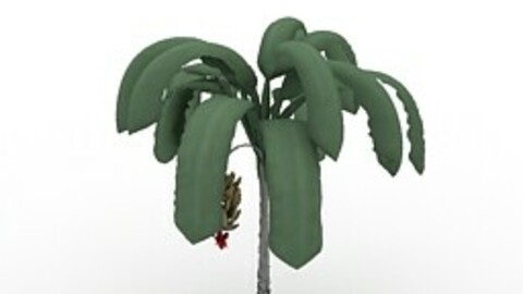 ArtStation - Resource-Interior-Exterior- Plant - Musa para | Resources