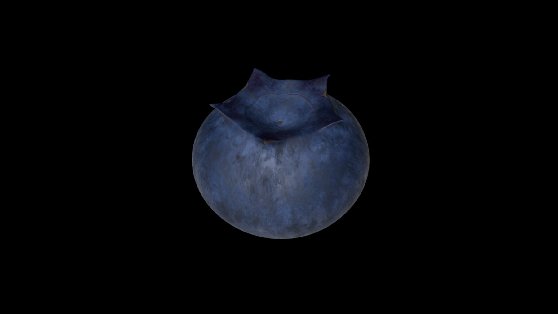 ArtStation - Blueberry 3D model | Resources