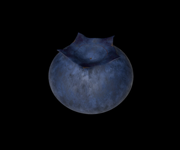 ArtStation - Blueberry 3D model | Resources