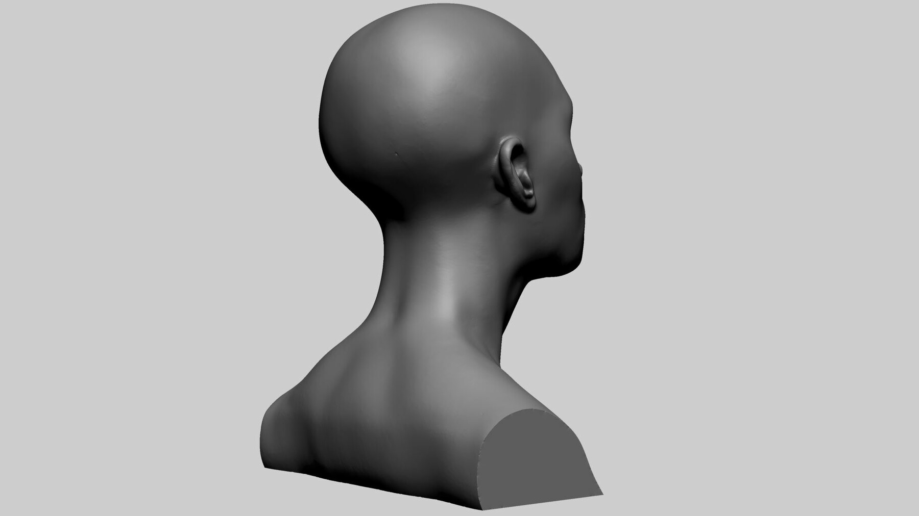 ArtStation - Female Head Form | Resources
