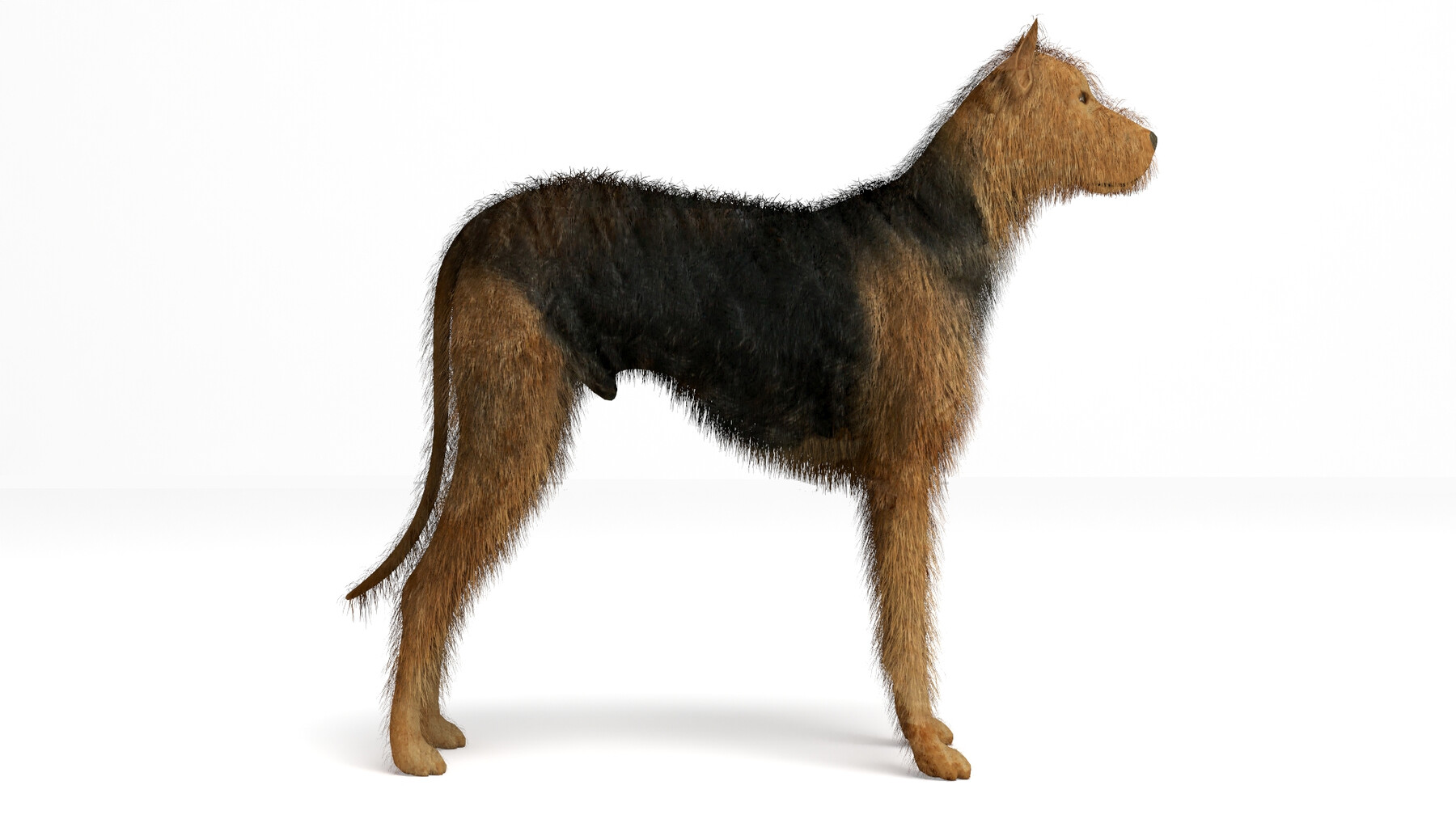 ArtStation - Street Dog | Resources