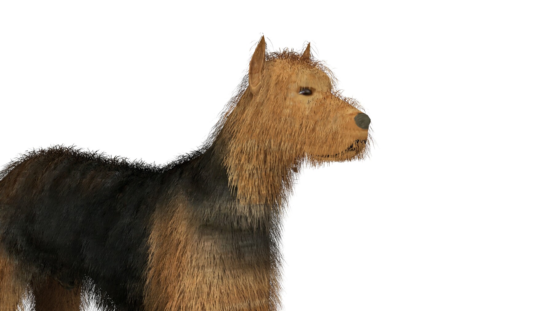 ArtStation - Street Dog | Resources