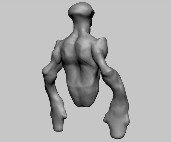 ArtStation - Creature Torso | Resources
