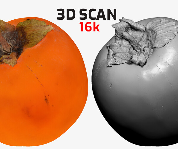 ArtStation - 20 products BUNDLE CROSS-POLARIZED 3D SCANS COLLECTION ...