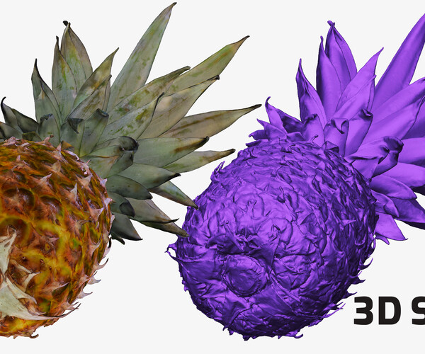 ArtStation - 20 products BUNDLE CROSS-POLARIZED 3D SCANS COLLECTION ...