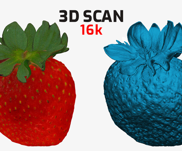 ArtStation - 20 products BUNDLE CROSS-POLARIZED 3D SCANS COLLECTION ...