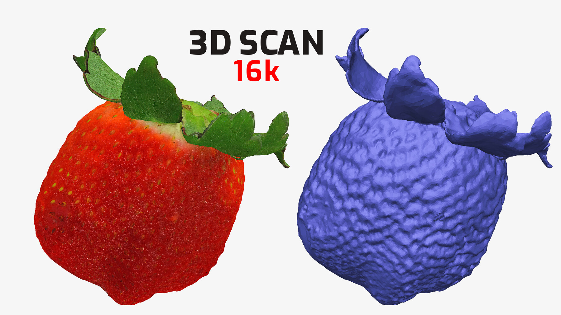 ArtStation - 20 products BUNDLE CROSS-POLARIZED 3D SCANS COLLECTION ...
