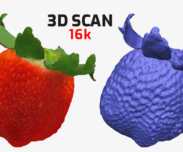 ArtStation - 20 products BUNDLE CROSS-POLARIZED 3D SCANS COLLECTION ...