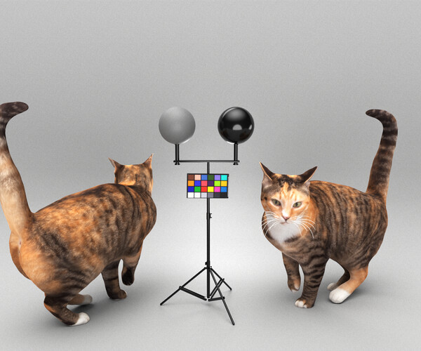 ArtStation - Cat 25 | Game Assets