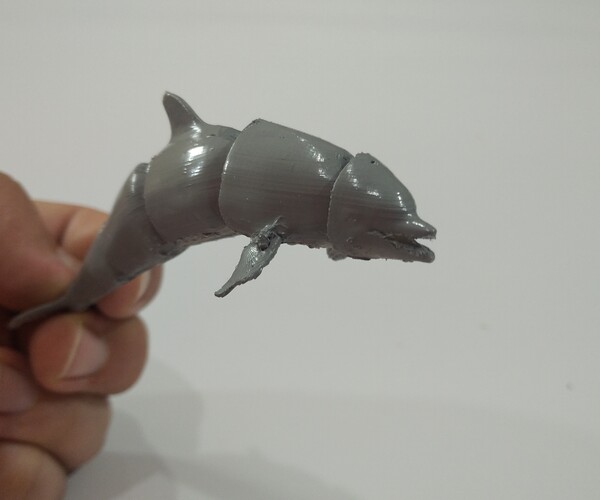 ArtStation - Articulated Dolphin | Resources