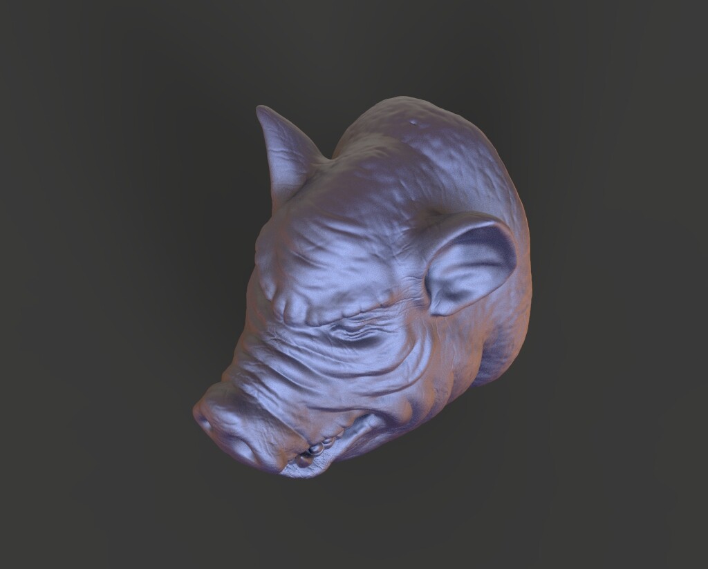 ArtStation - Head-P1_high poly sculpt | Resources