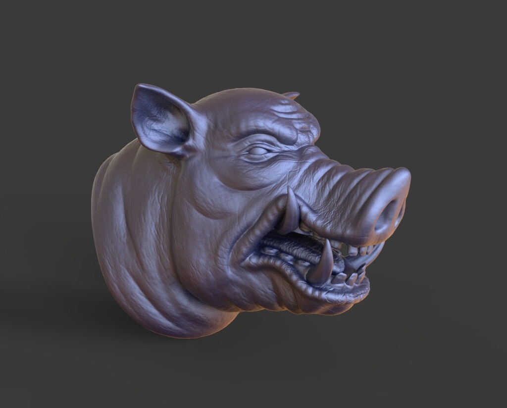 ArtStation - Head-P5_high poly sculpt | Resources