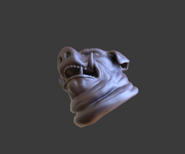 ArtStation - Head-P6_high poly sculpt | Resources