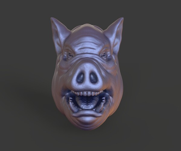 ArtStation - Head-P7_high poly sculpt | Resources