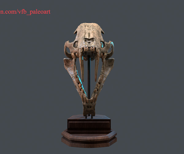 ArtStation - Sabretooth skull - Statue for 3D printing | Resources