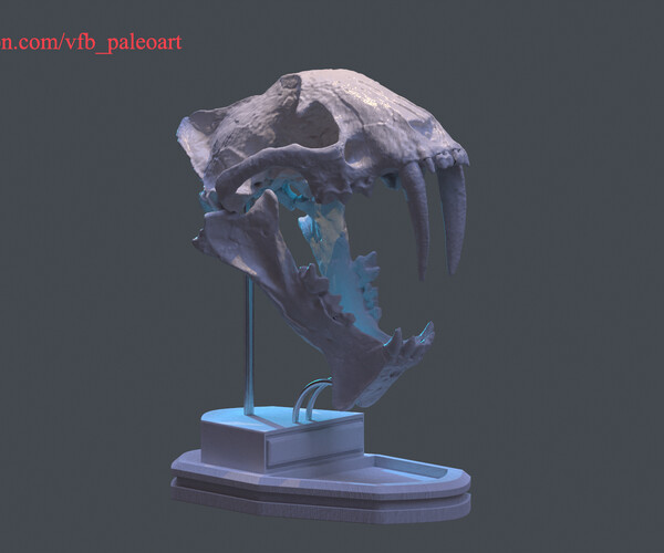 ArtStation - Sabretooth skull - Statue for 3D printing | Resources