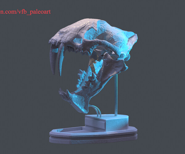 ArtStation - Sabretooth skull - Statue for 3D printing | Resources