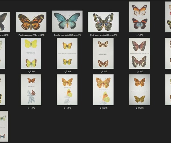 ArtStation - Butterflies: old book illustrations reference photos ...