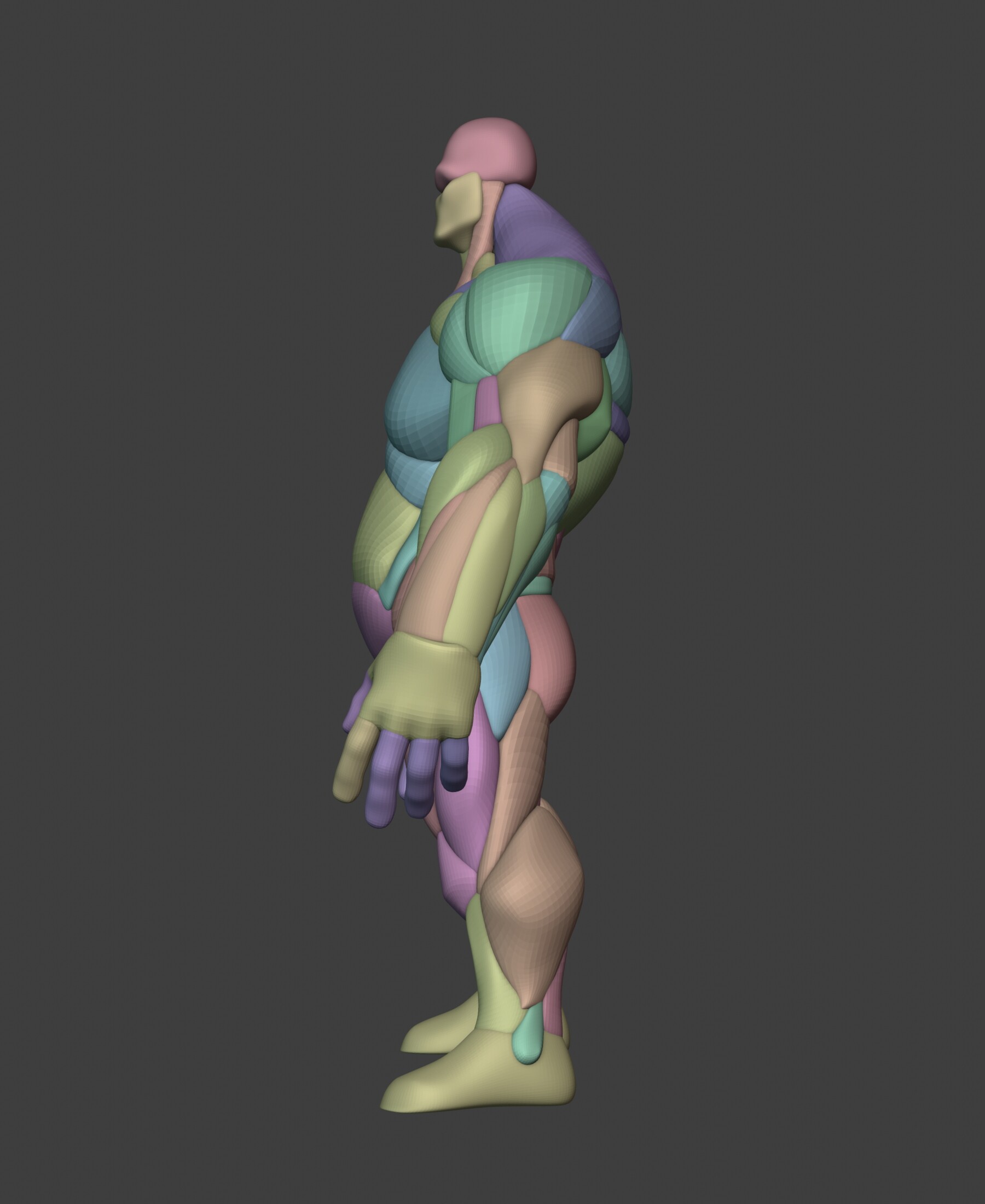 ArtStation - Stylized Heavy Anatomy Blockout | Resources