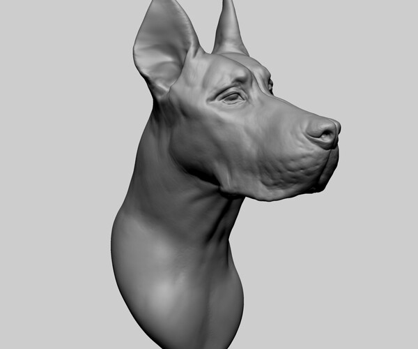 ArtStation - Dog Bust | Resources