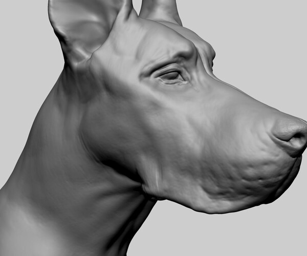 ArtStation - Dog Bust | Resources
