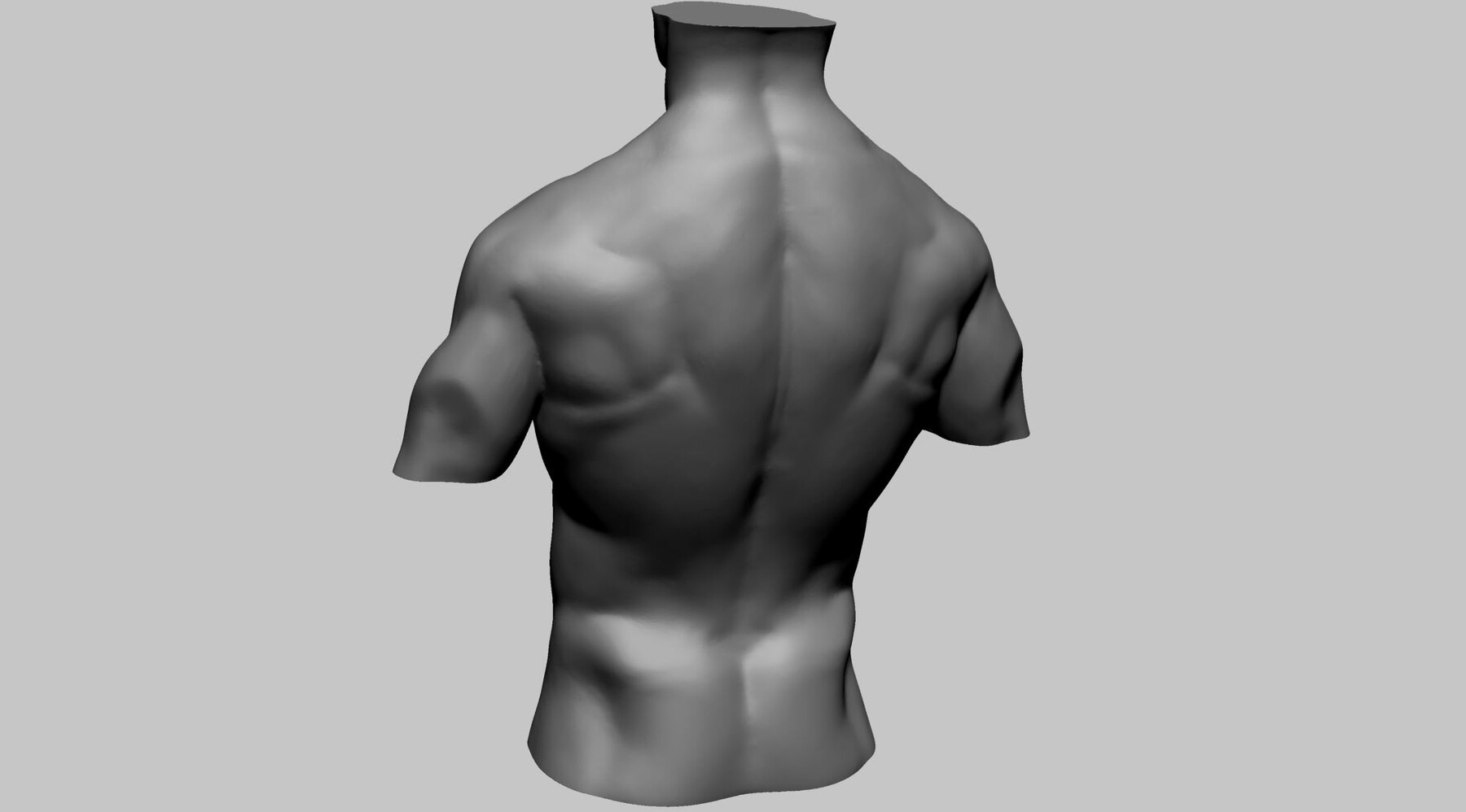 ArtStation - Male Torso A | Resources