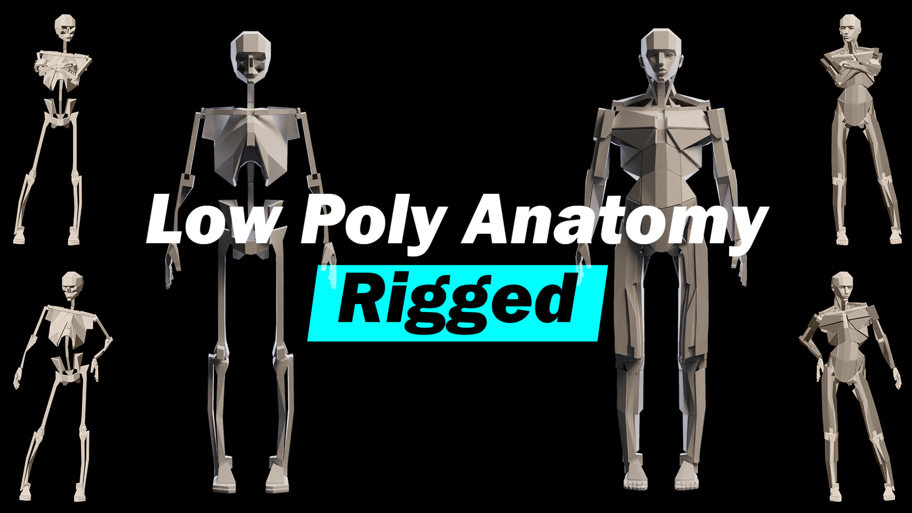 ArtStation - Low Poly Male Anatomy Rigged | Resources