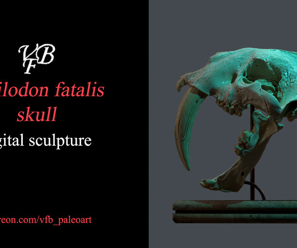 ArtStation - Smilodon fatalis skull - Statue for 3D printing | Resources