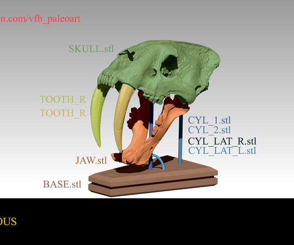 ArtStation - Smilodon fatalis skull - Statue for 3D printing | Resources