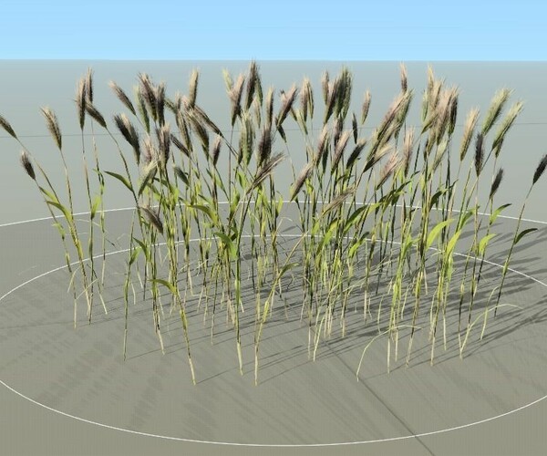 ArtStation - Wheat Plant (Game-Ready) | Game Assets