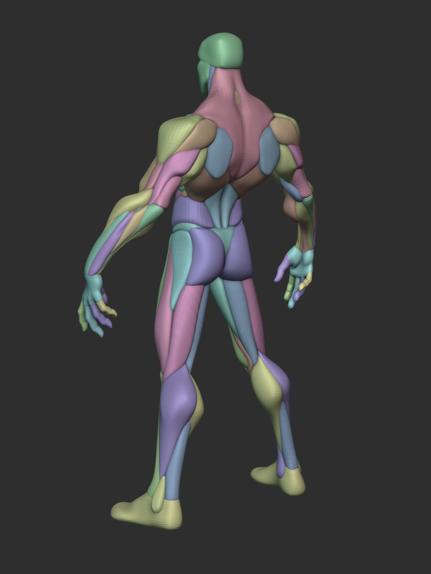 ArtStation - Stylized Warrior Anatomy Blockout V2 | Resources
