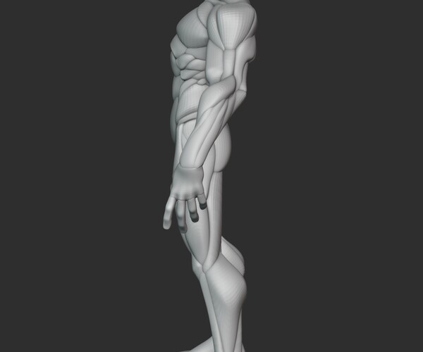 ArtStation - Stylized Warrior Anatomy Blockout V2 | Resources