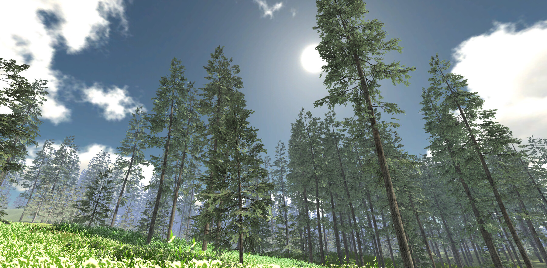 ArtStation - Unity grassy environment | Resources