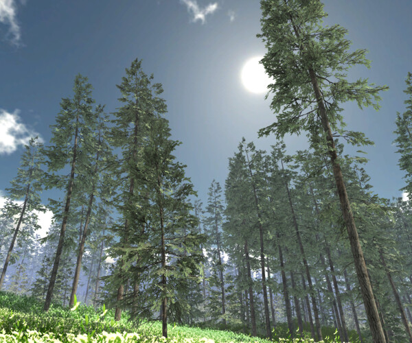 ArtStation - Unity grassy environment | Resources