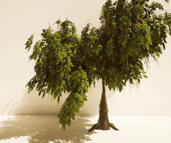ArtStation - Tree_UltimatePack V1 | Game Assets