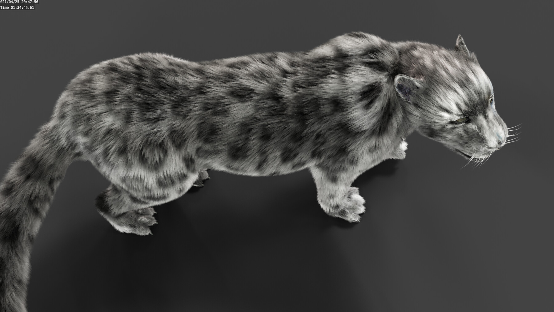 ArtStation - Realistic Fur Leopard Rigged | Game Assets