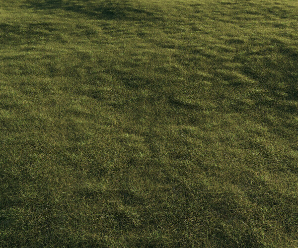 ArtStation - Forest Grass 03 | Resources