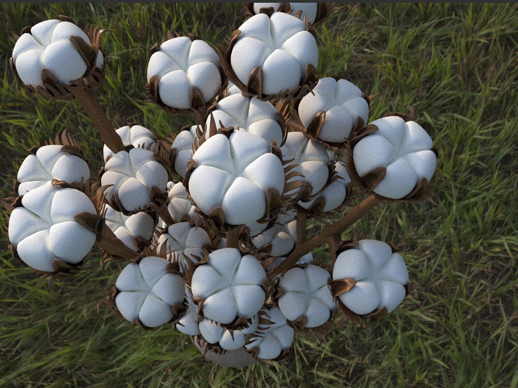 ArtStation - Cotton model download, cotton 3D map download, Meichen ...