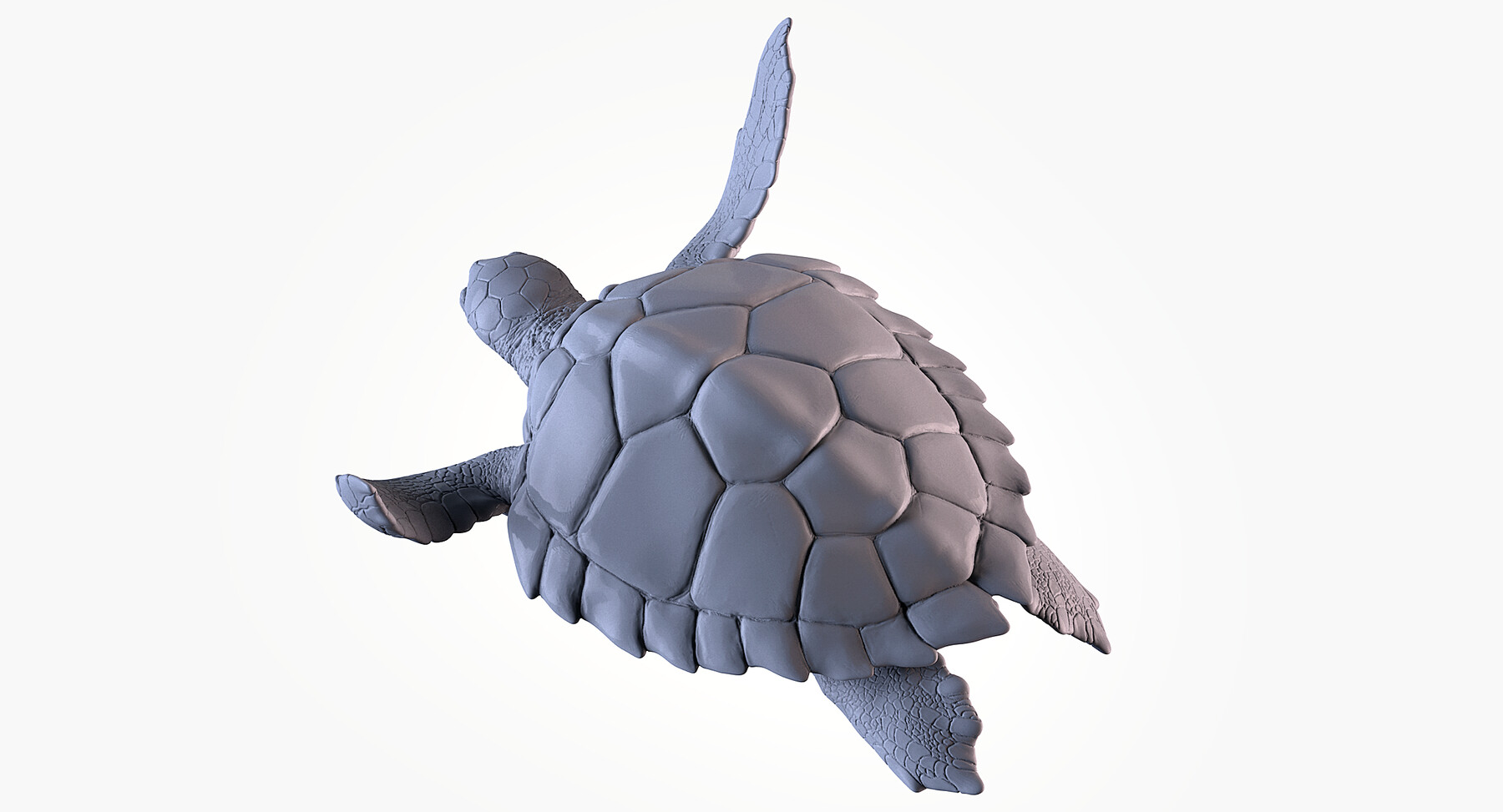 ArtStation - Turtle | Resources