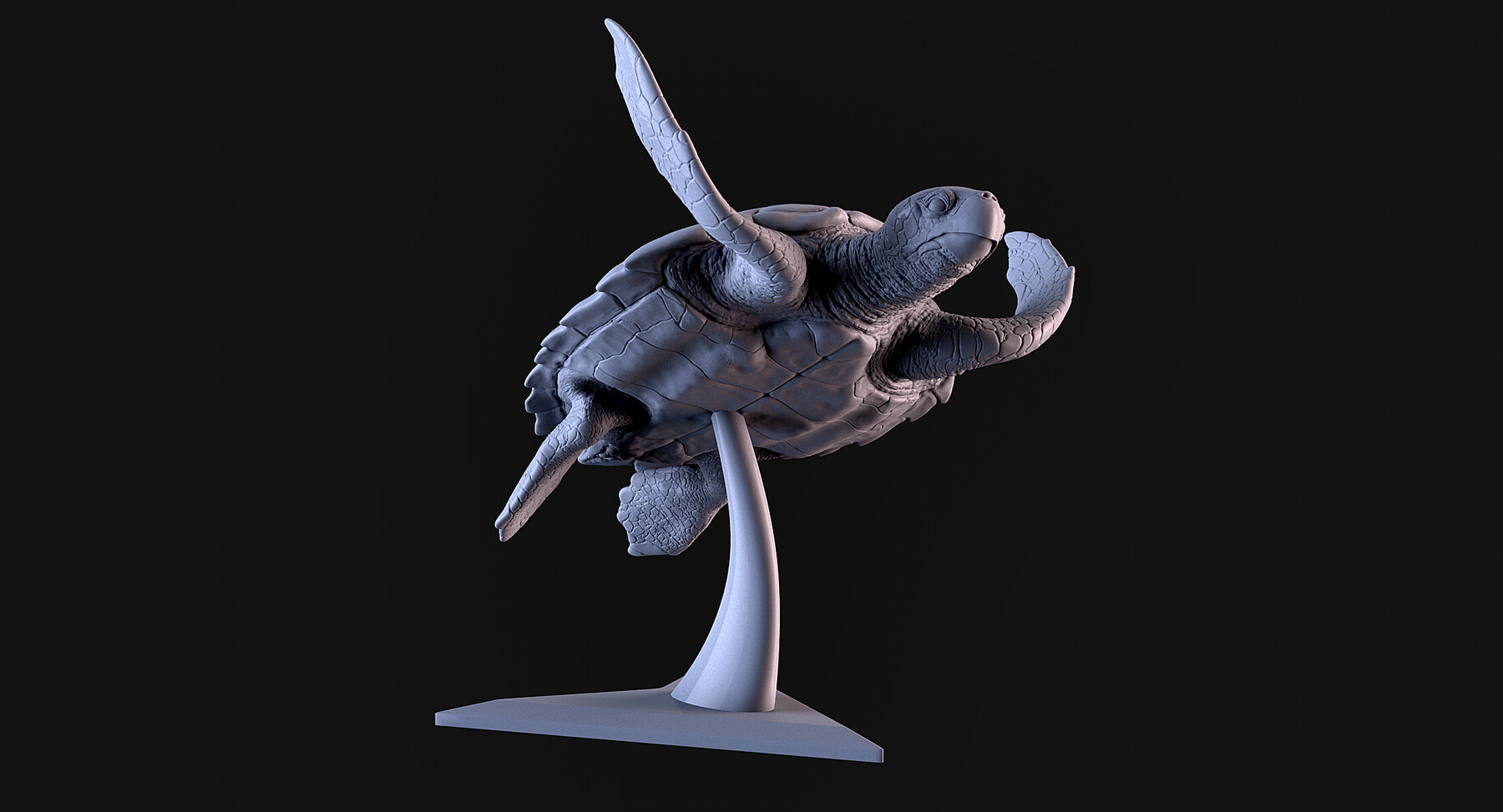 ArtStation - Turtle | Resources