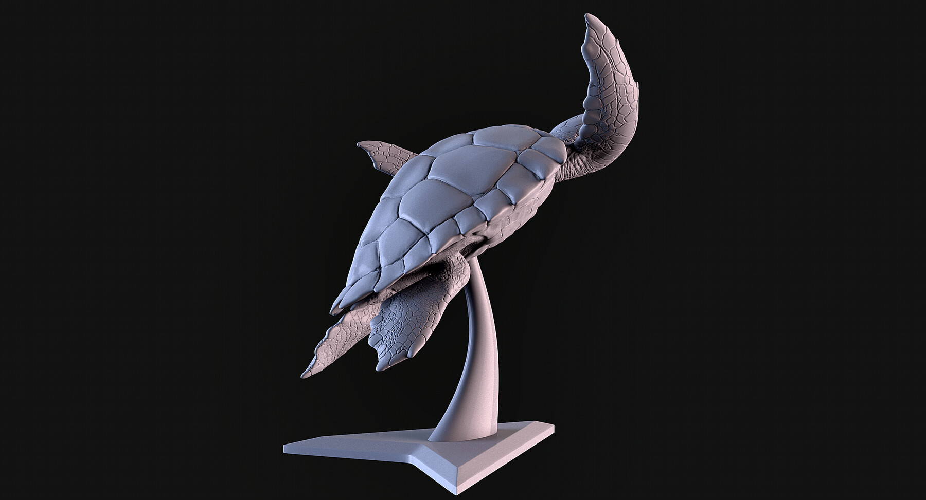 ArtStation - Turtle | Resources