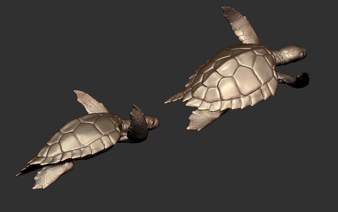 ArtStation - Turtle | Resources