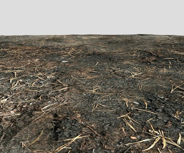 ArtStation - Terrain - Burn Ground - PBR - seamless | Resources