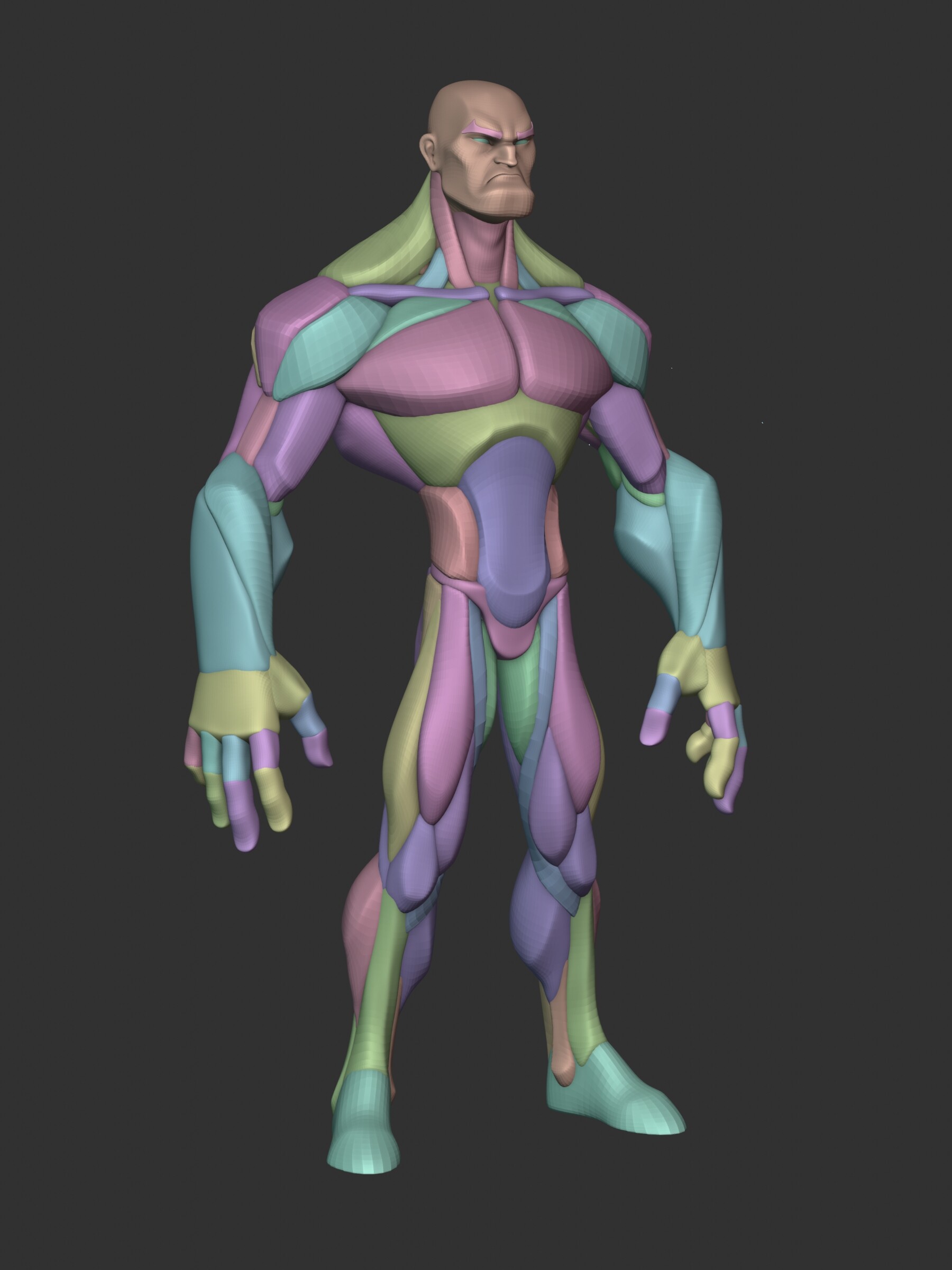 ArtStation - Stylized Hero Anatomy V3 | Resources