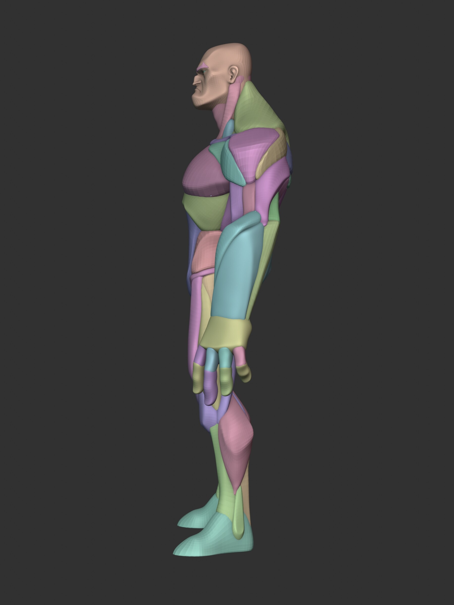 ArtStation - Stylized Hero Anatomy V3 | Resources