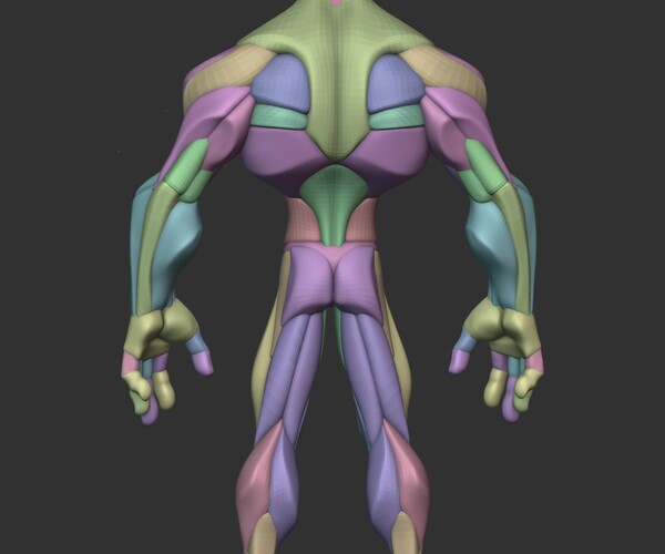 ArtStation - Stylized Hero Anatomy V3 | Resources