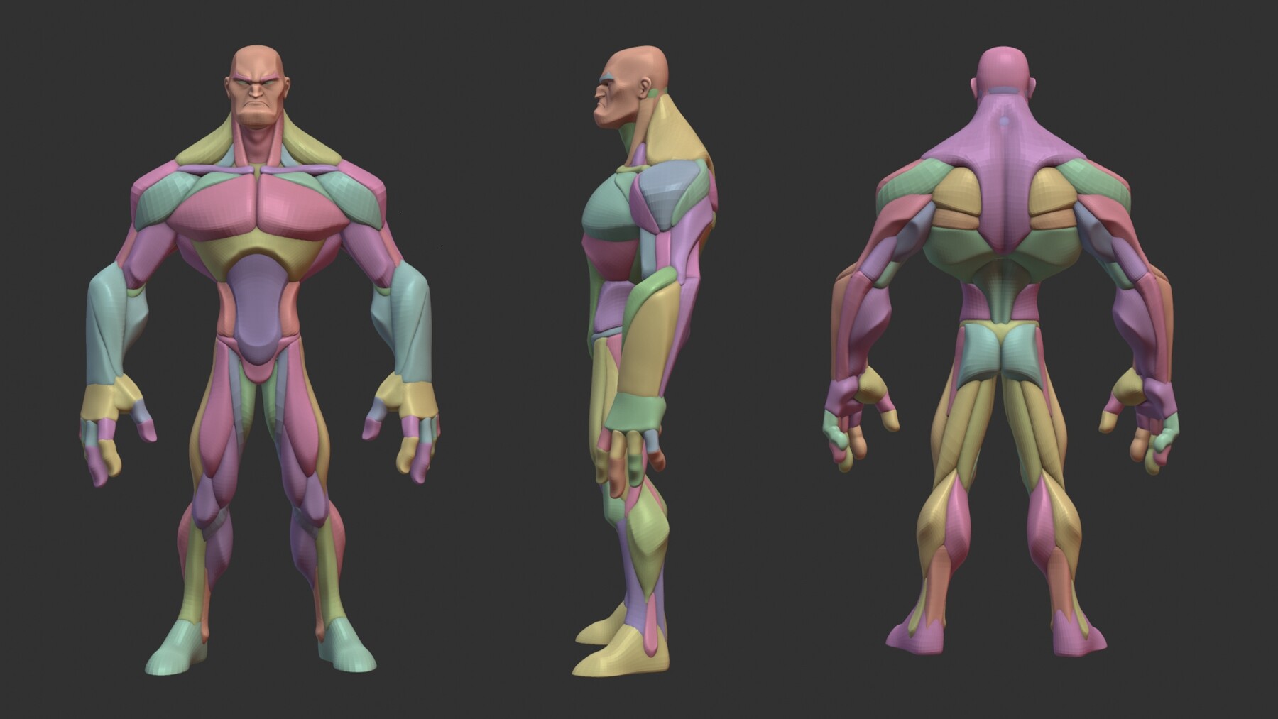 ArtStation - Stylized Hero Anatomy V3 | Resources