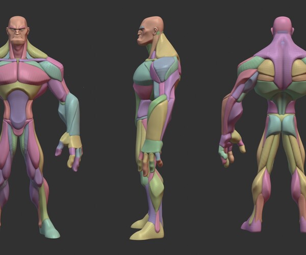 ArtStation - Stylized Hero Anatomy V3 | Resources