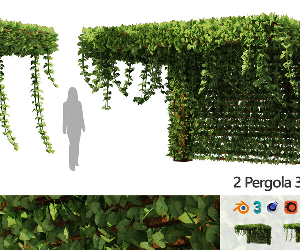 ArtStation - Pergola Vine Bower 3d Model | Resources