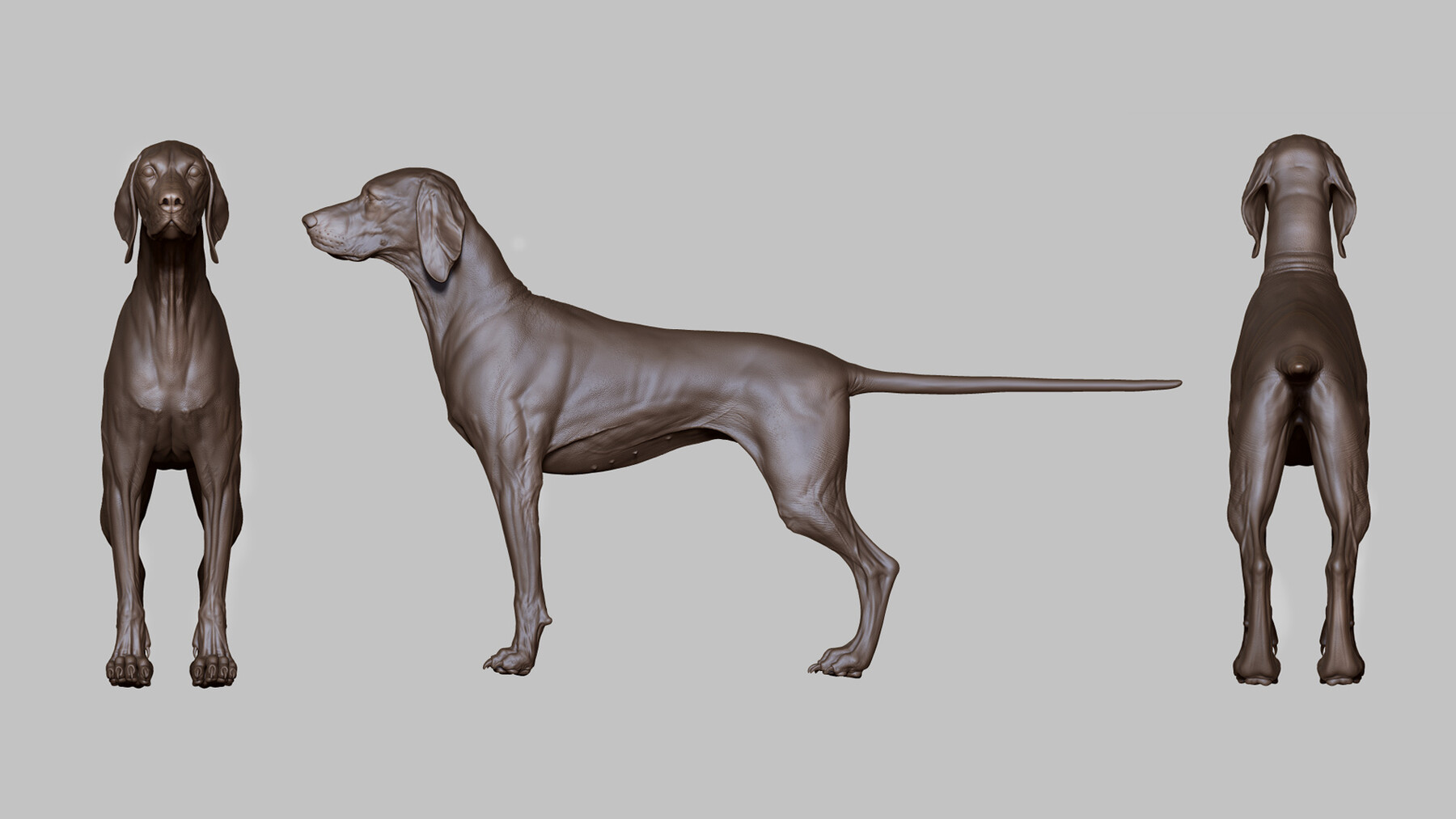 ArtStation - DOG | Resources